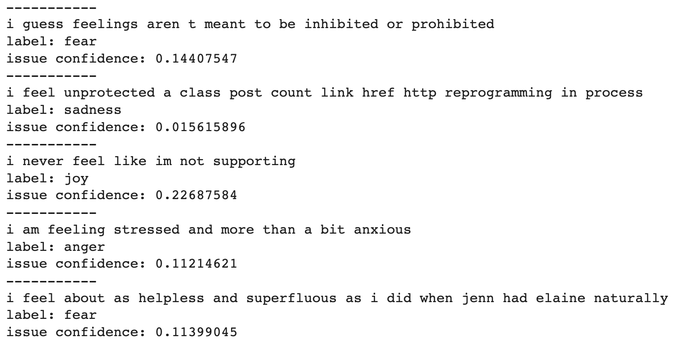 CleaNLP: Detecting Label Errors in General NLP Tasks | Vedang Lad